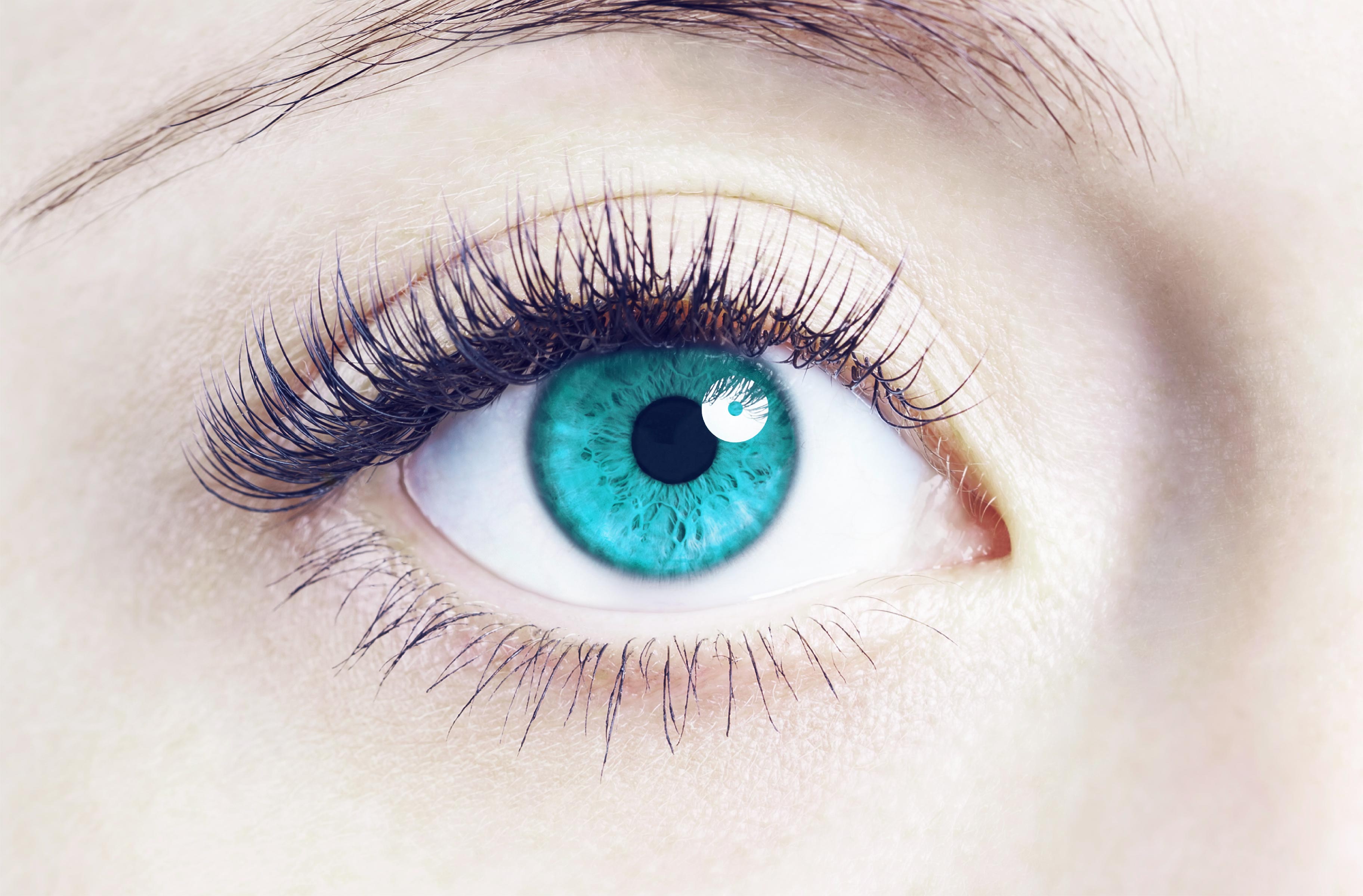 La vision 20 20 – Iris