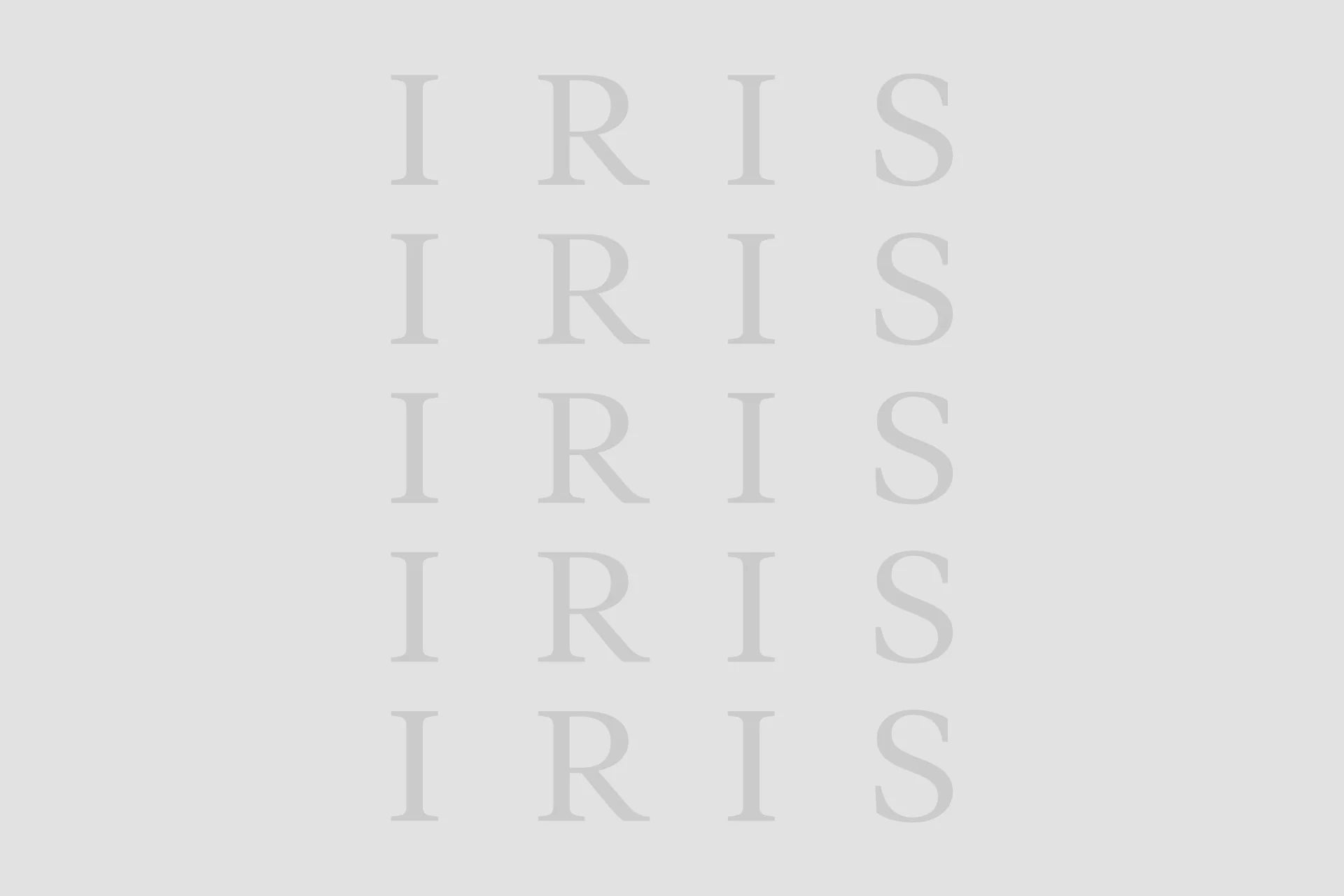 In 2025, IRIS Prepares to Celebrate its 35 Years – Iris