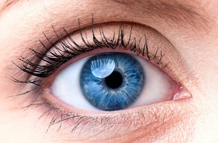 Why do most people from Scandinavian countries have blue eyes? – Iris