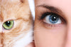 How Animals See the World: Comparing Human and Animal Vision – Iris