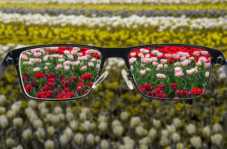 Glasses for the colour-blind: How to choose them – Iris